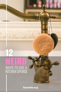 12 Weird Ways to Use A Kitchen Sponge | Faux Sho